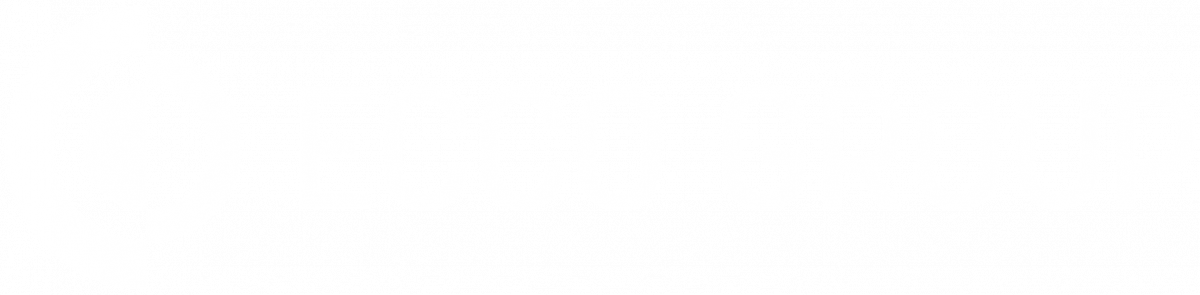 About Us – ECCO GROUP